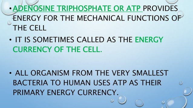 General Biology Q2- Module 1 ATP and ADP | PPTX | Chemistry | Science