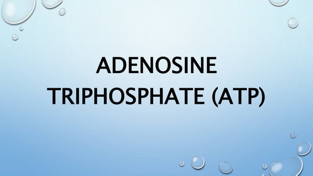 General Biology Q2- Module 1 ATP and ADP | PPTX | Chemistry | Science