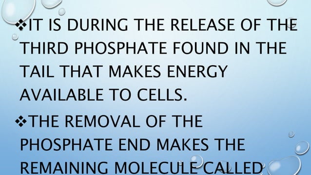 General Biology Q2- Module 1 ATP and ADP | PPTX | Chemistry | Science