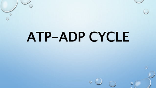General Biology Q2- Module 1 ATP and ADP | PPTX | Chemistry | Science