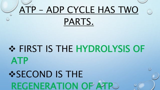 General Biology Q2- Module 1 ATP and ADP | PPTX | Chemistry | Science