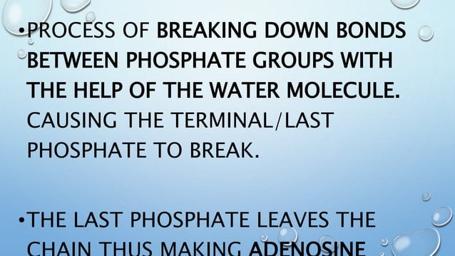 General Biology Q2- Module 1 ATP and ADP | PPTX | Chemistry | Science