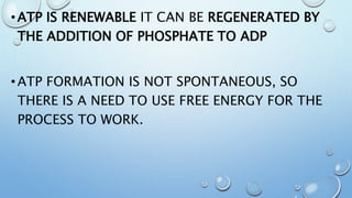 General Biology Q2- Module 1 ATP and ADP | PPTX