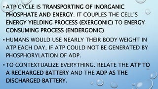 General Biology Q2- Module 1 ATP and ADP | PPTX