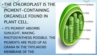General Biology Q2- Module 1 ATP and ADP | PPTX