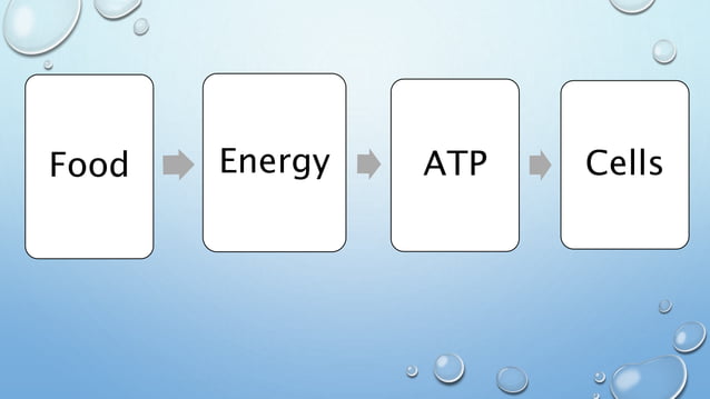 General Biology Q2- Module 1 ATP and ADP | PPTX | Chemistry | Science
