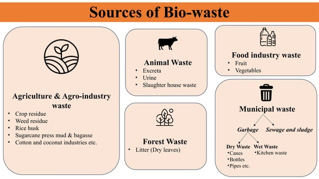 Biowaste Management and Its Utilization in Crop Production.pptx