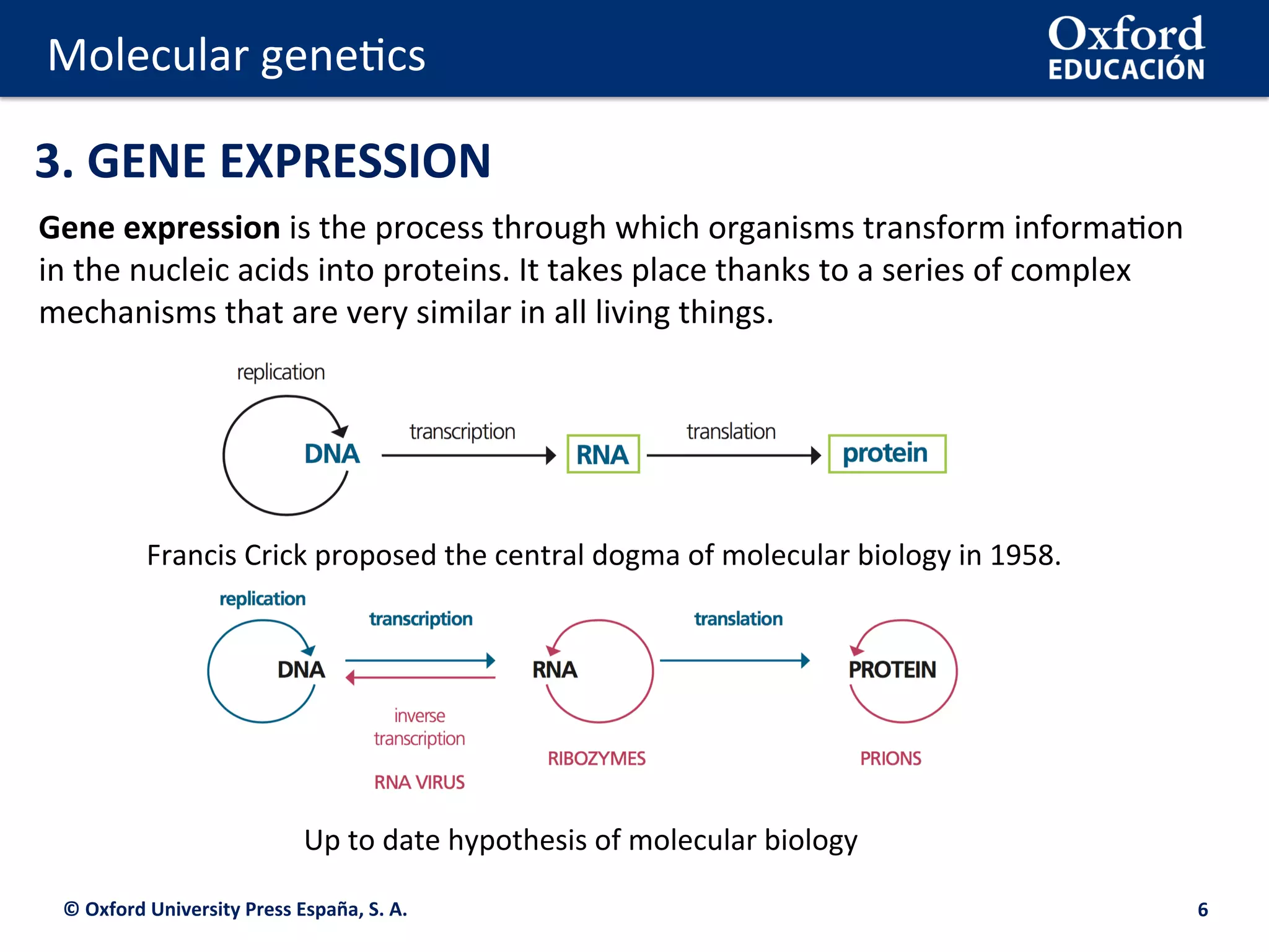 bio_02_presentation.pdf