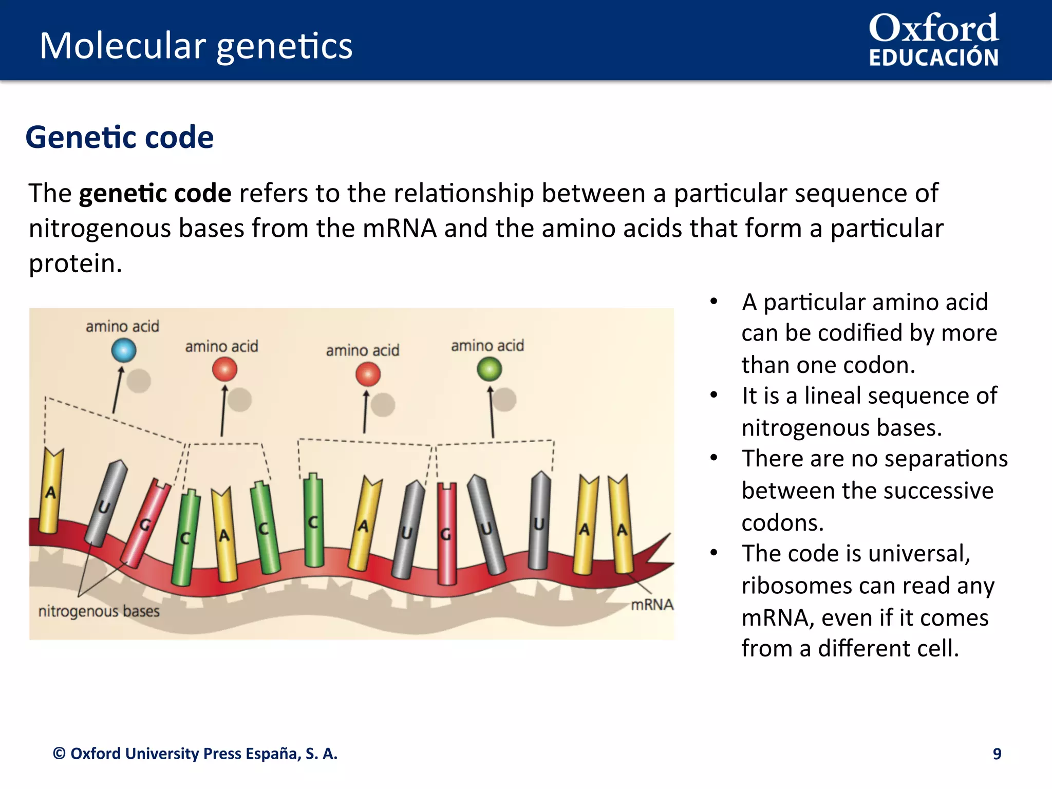 bio_02_presentation.pdf