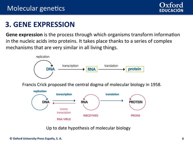 bio_02_presentation.pdf
