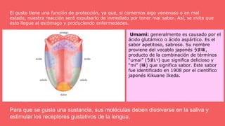 El sentido del gusto | PDF