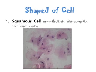 Bio1.pdf