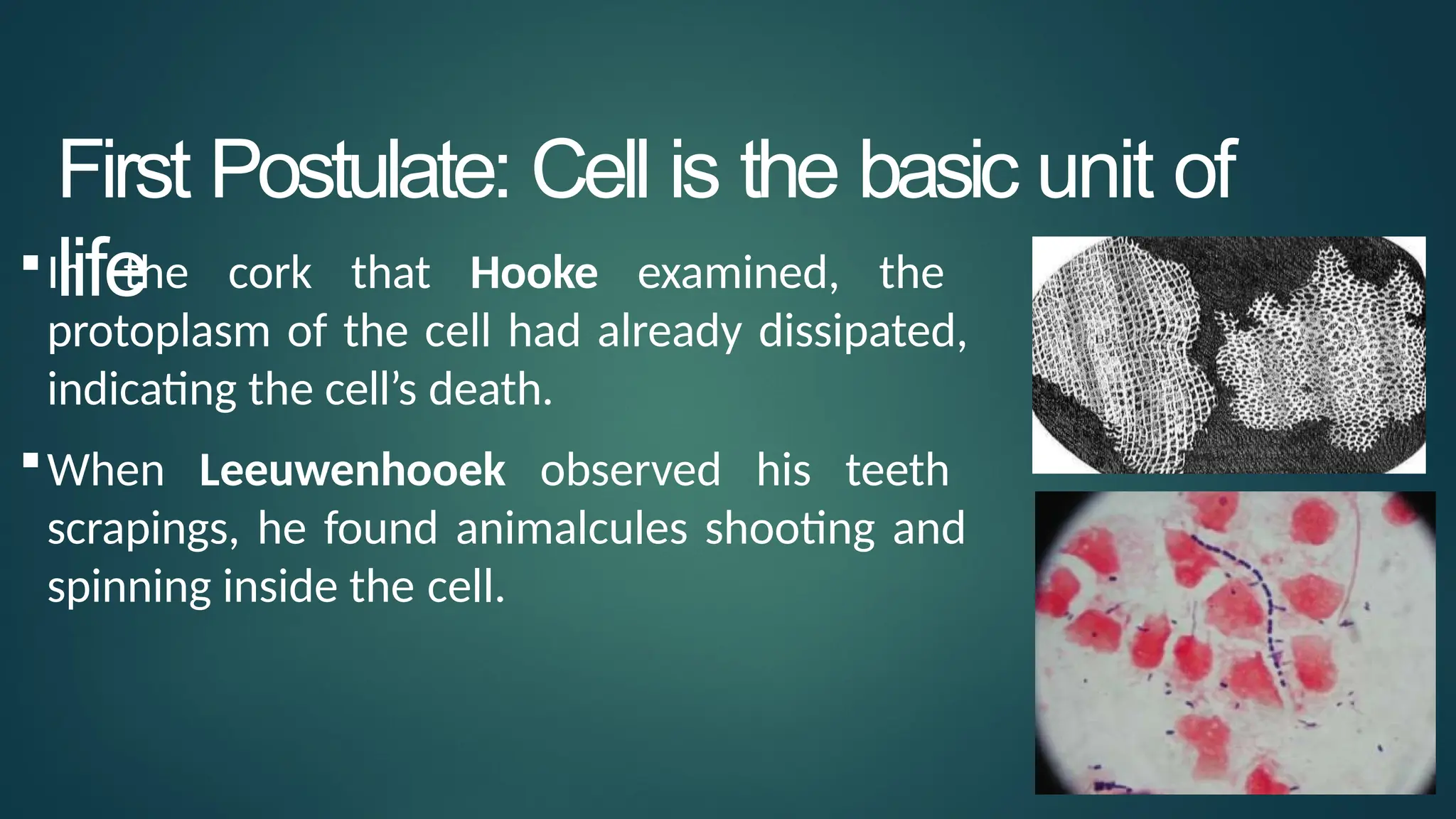 BIO1-PRELIM-W1-2-L1-CELL THEORY, STRUCTURES AND FUNCTIONS.pptx