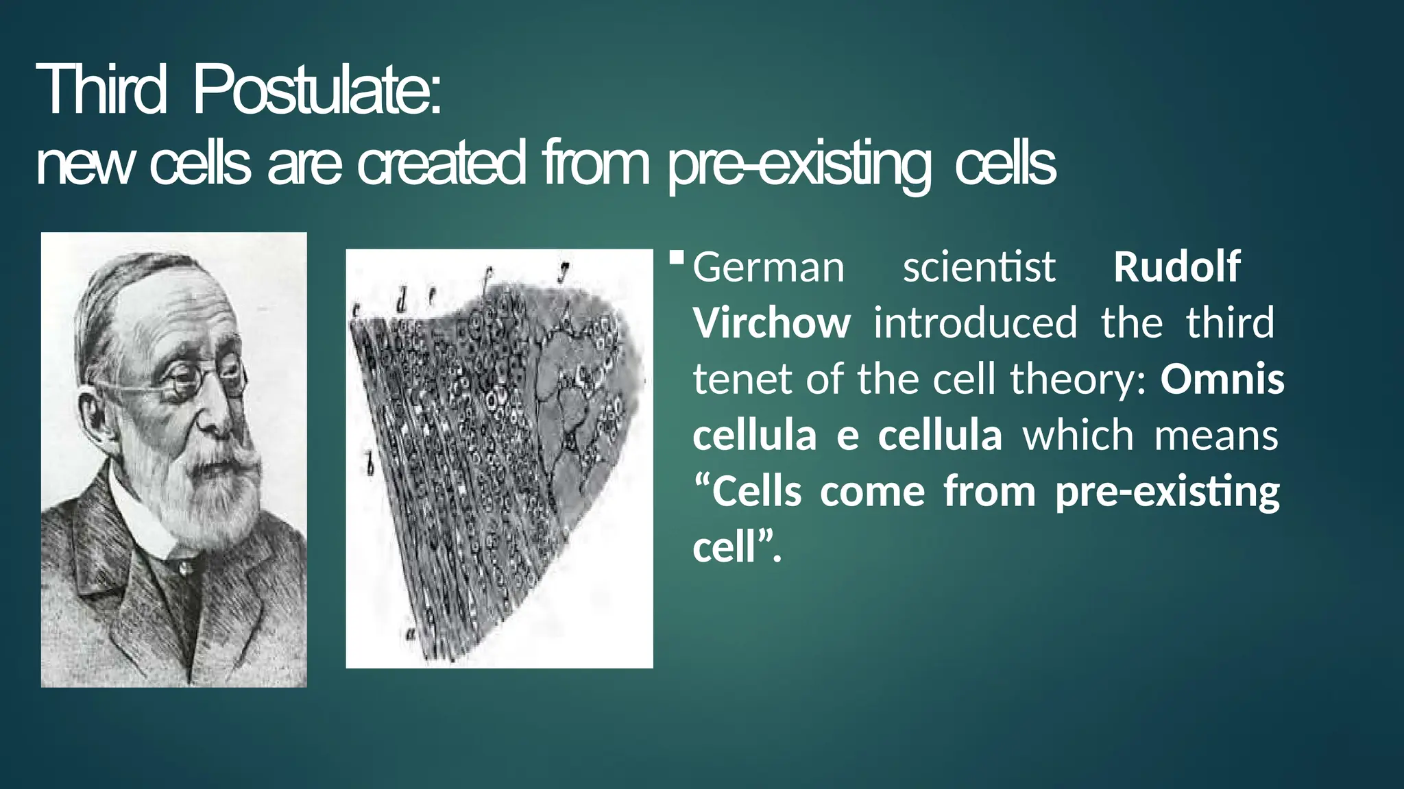BIO1-PRELIM-W1-2-L1-CELL THEORY, STRUCTURES AND FUNCTIONS.pptx