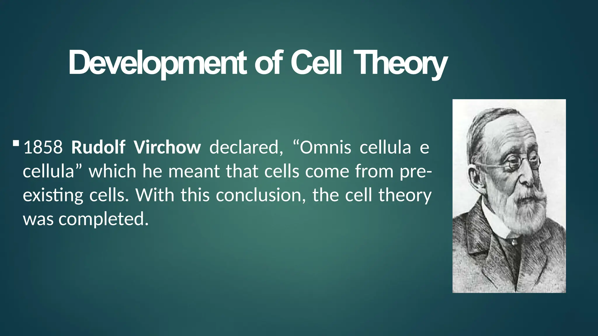 BIO1-PRELIM-W1-2-L1-CELL THEORY, STRUCTURES AND FUNCTIONS.pptx