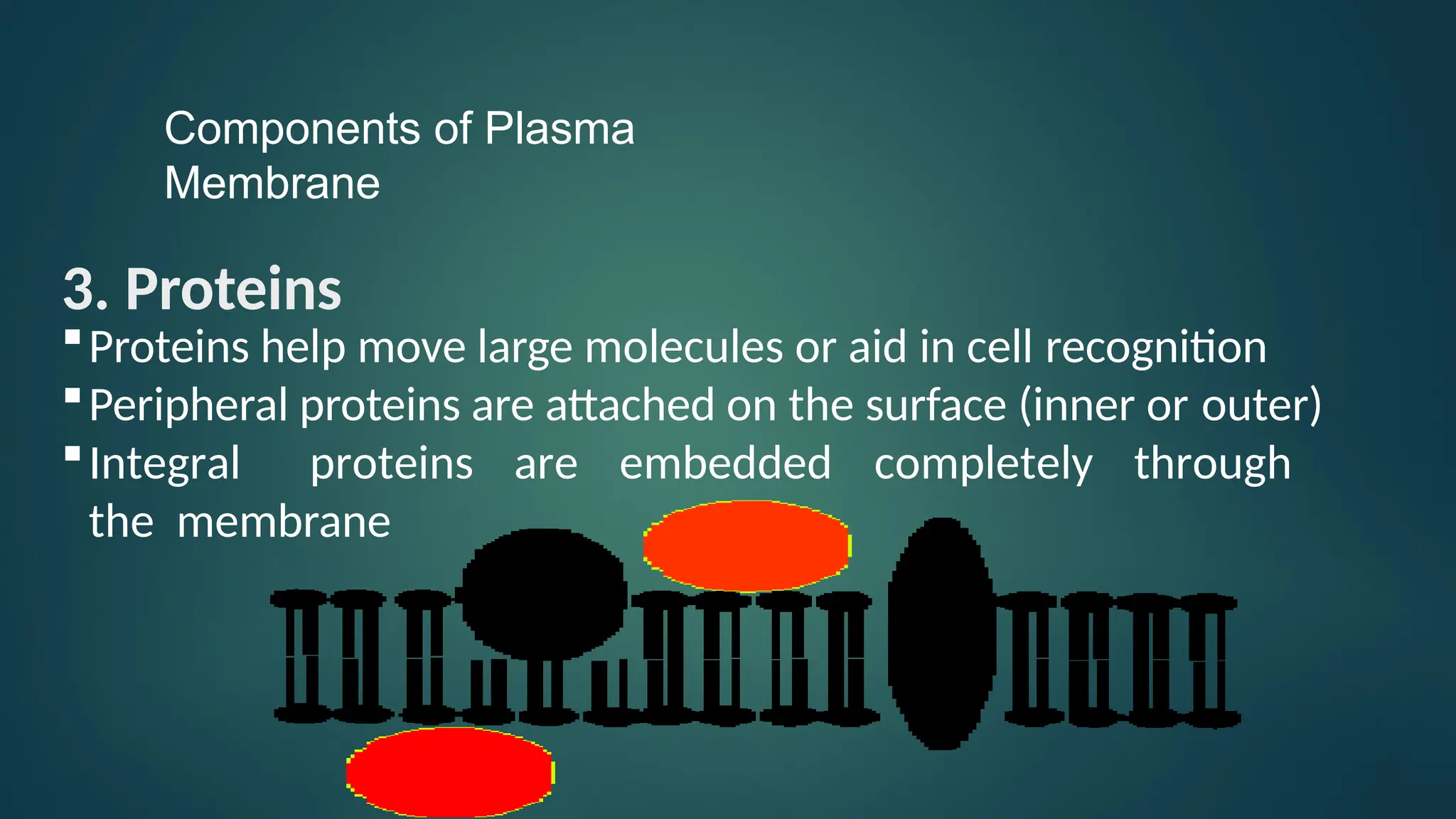 BIO1-PRELIM-W1-2-L1-CELL THEORY, STRUCTURES AND FUNCTIONS.pptx