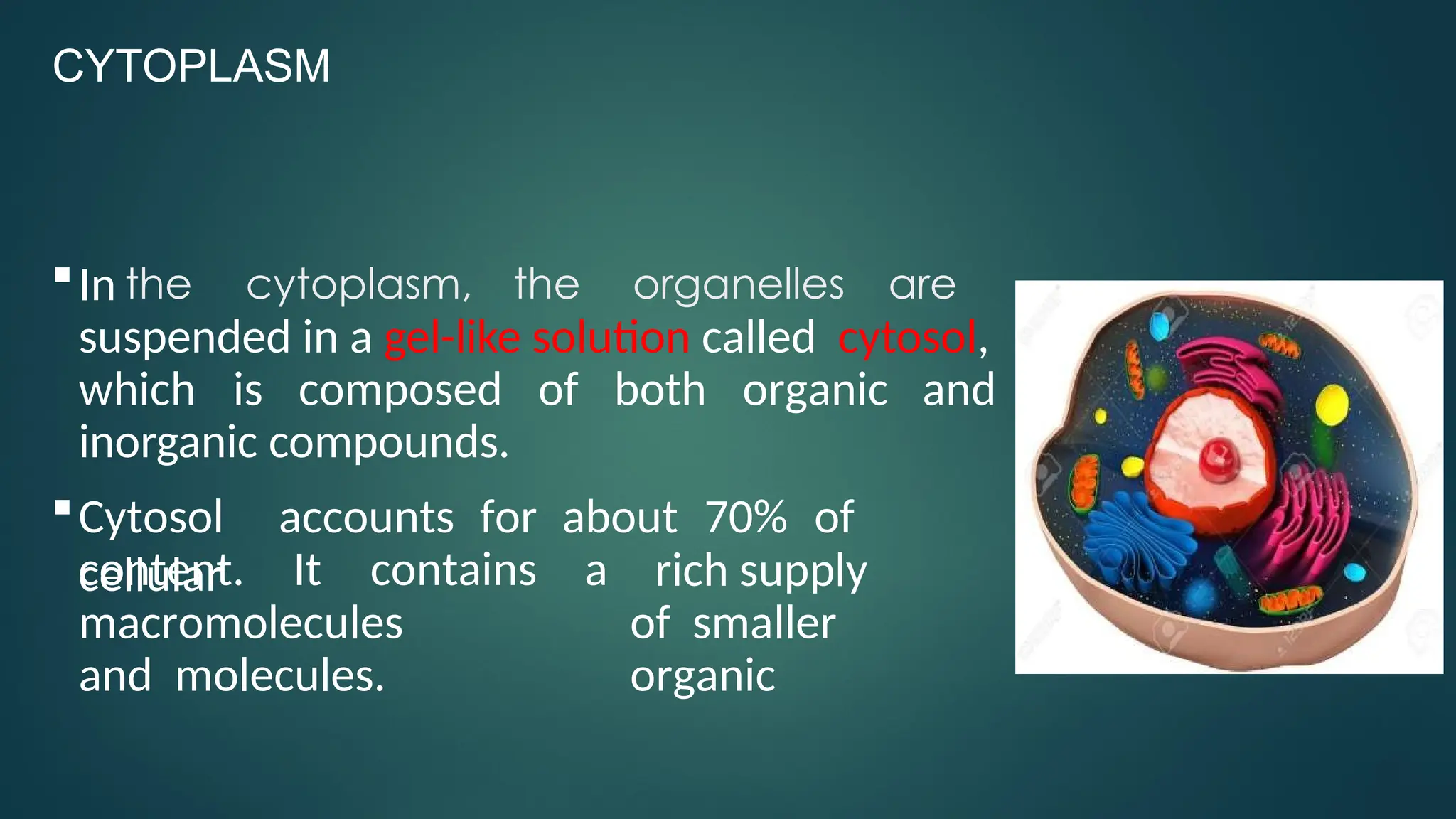 BIO1-PRELIM-W1-2-L1-CELL THEORY, STRUCTURES AND FUNCTIONS.pptx