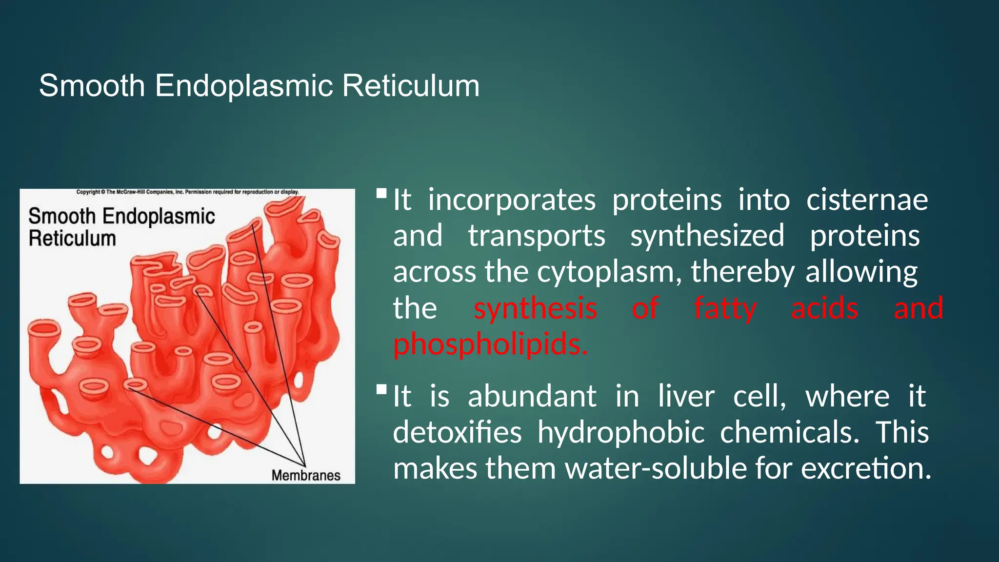 BIO1-PRELIM-W1-2-L1-CELL THEORY, STRUCTURES AND FUNCTIONS.pptx
