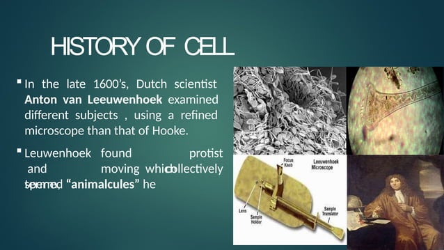 BIO1-PRELIM-W1-2-L1-CELL THEORY, STRUCTURES AND FUNCTIONS.pptx | Biological Sciences | Science