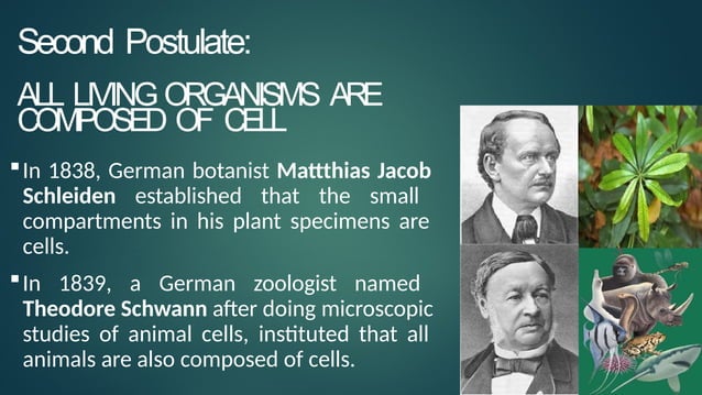 BIO1-PRELIM-W1-2-L1-CELL THEORY, STRUCTURES AND FUNCTIONS.pptx | Biological Sciences | Science