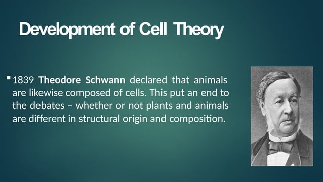 BIO1-PRELIM-W1-2-L1-CELL THEORY, STRUCTURES AND FUNCTIONS.pptx | Biological Sciences | Science