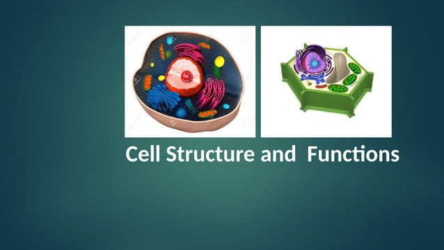 BIO1-PRELIM-W1-2-L1-CELL THEORY, STRUCTURES AND FUNCTIONS.pptx ...
