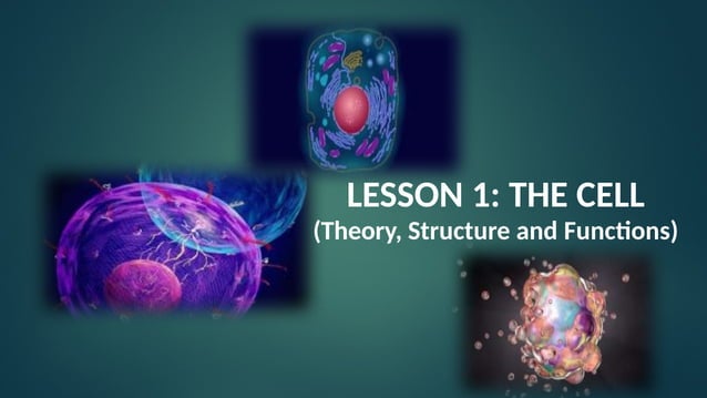 BIO1-PRELIM-W1-2-L1-CELL THEORY, STRUCTURES AND FUNCTIONS.pptx | Biological Sciences | Science