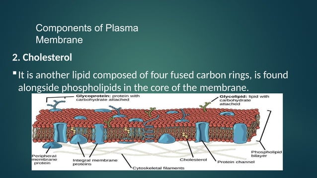 BIO1-PRELIM-W1-2-L1-CELL THEORY, STRUCTURES AND FUNCTIONS.pptx | Biological Sciences | Science