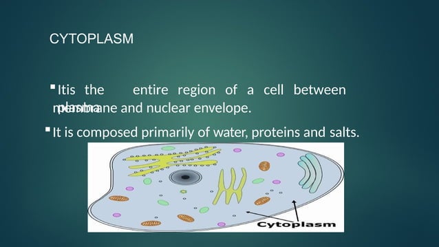 BIO1-PRELIM-W1-2-L1-CELL THEORY, STRUCTURES AND FUNCTIONS.pptx | Biological Sciences | Science