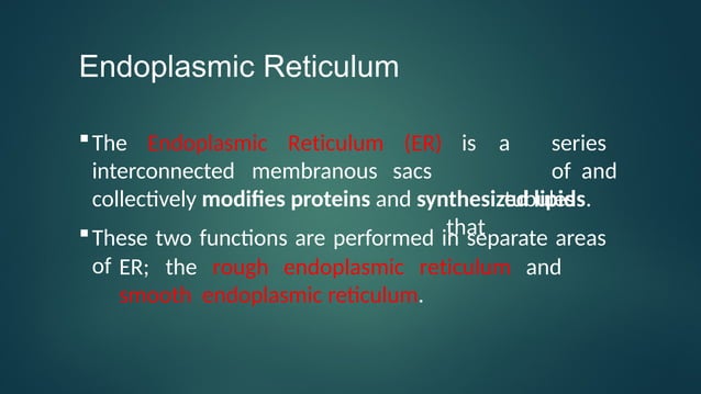 BIO1-PRELIM-W1-2-L1-CELL THEORY, STRUCTURES AND FUNCTIONS.pptx | Biological Sciences | Science