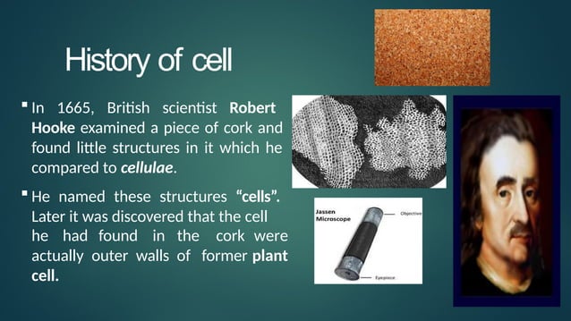 BIO1-PRELIM-W1-2-L1-CELL THEORY, STRUCTURES AND FUNCTIONS.pptx | Biological Sciences | Science