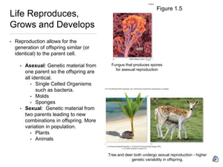 Bio 101 chapter 1- the scientific study of life part 1 narrated | PPTX