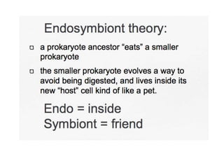 Bio101 tutorial2 | PPT