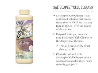 BIO101: SaltScapes | PDF