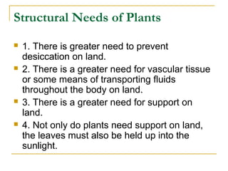 Bio102 chapter 25 (1) | PPT