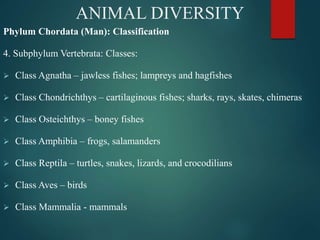 DIVERSITY OF KINGDOM ANIMALIA | PPT