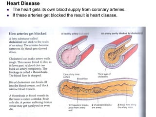 BIO_103_Circulation%2C+Respiration%2C+Excretion_L12_Spring+2022.pdf