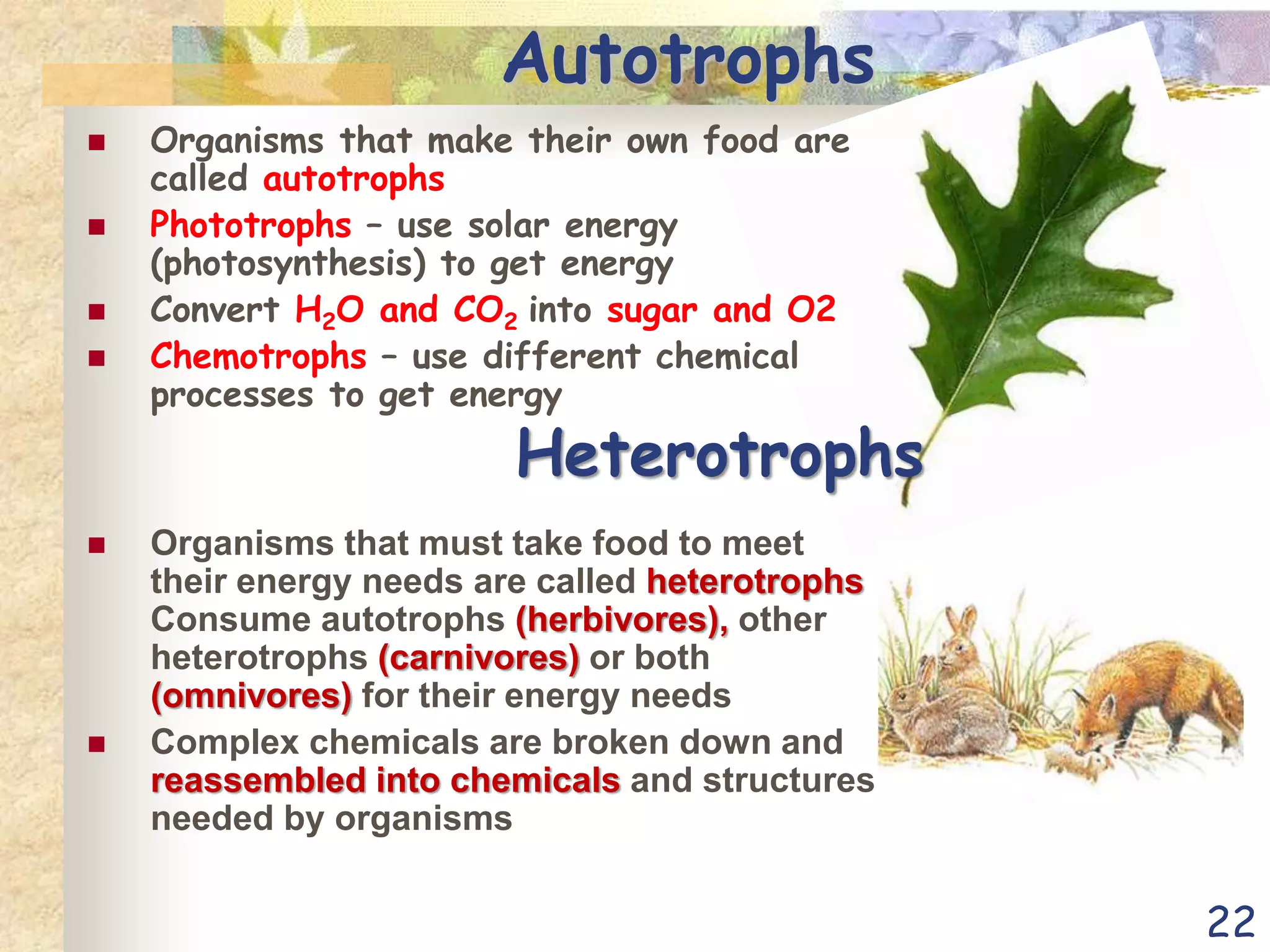 Bio 103 L 1 Intr Biology F.ppt
