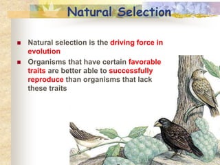 Bio 103 L 1 Intr Biology F.ppt | Biological Sciences | Science