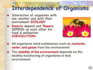 Bio 103 L 1 Intr Biology F.ppt | Biological Sciences | Science