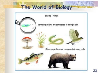 Bio 103 L 1 Intr Biology F.ppt