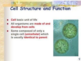 Bio 103 L 1 Intr Biology F.ppt | Biological Sciences | Science
