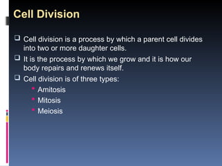 Bio 103 L 8 Cell Division- Mitosis & Meiosis.ppt