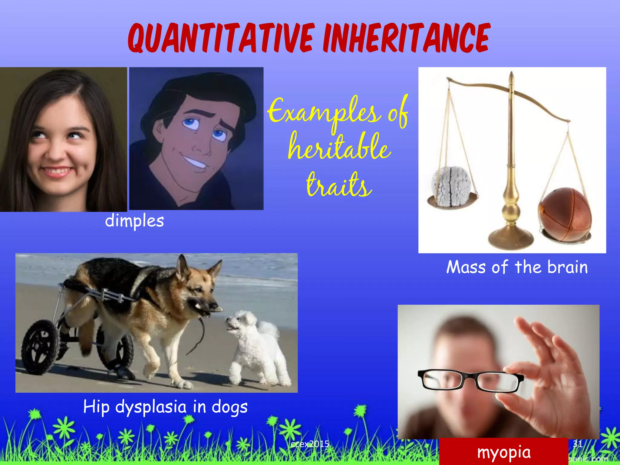 Genetics: Quantitative Inheritance | PDF