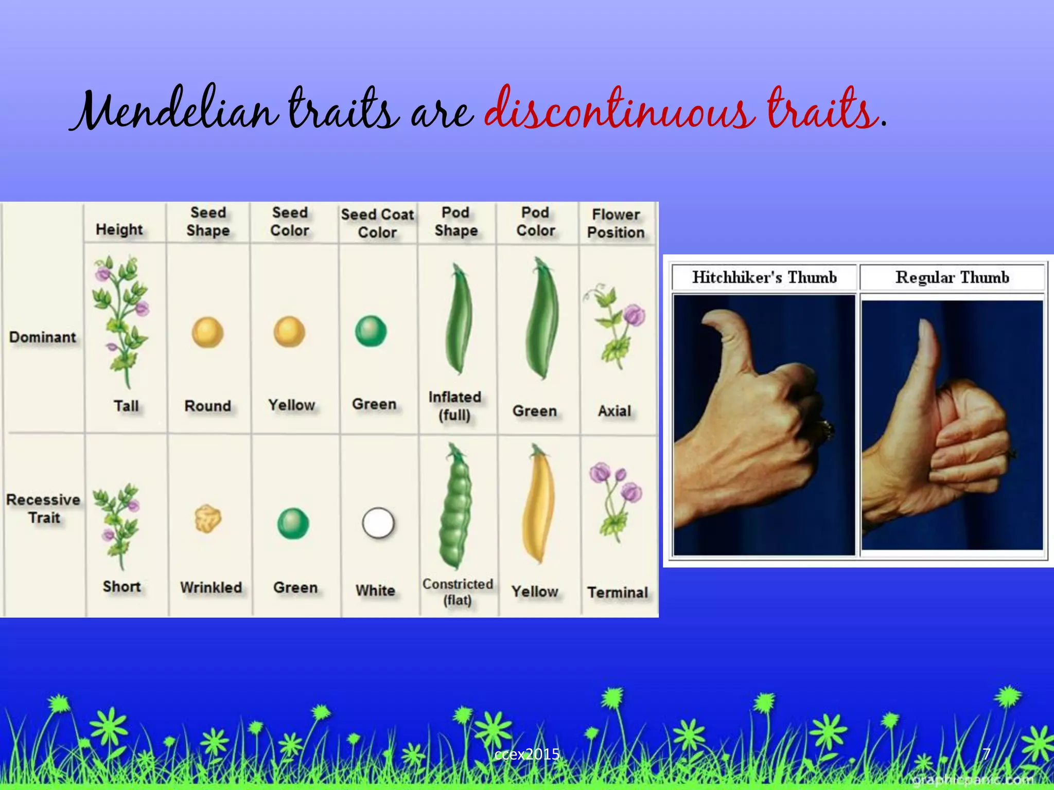 Genetics: Quantitative Inheritance | PDF