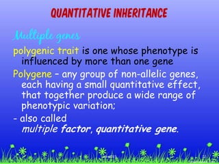 Genetics: Quantitative Inheritance | PDF