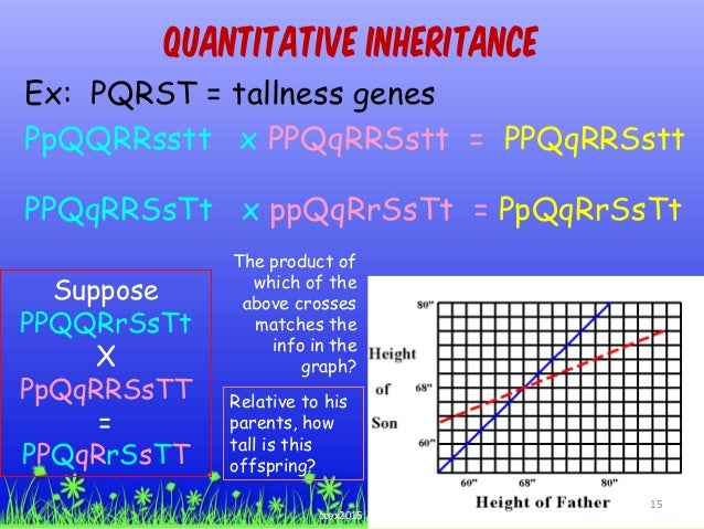 Genetics Quantitative Inheritance genetics-quantitative-inheritance