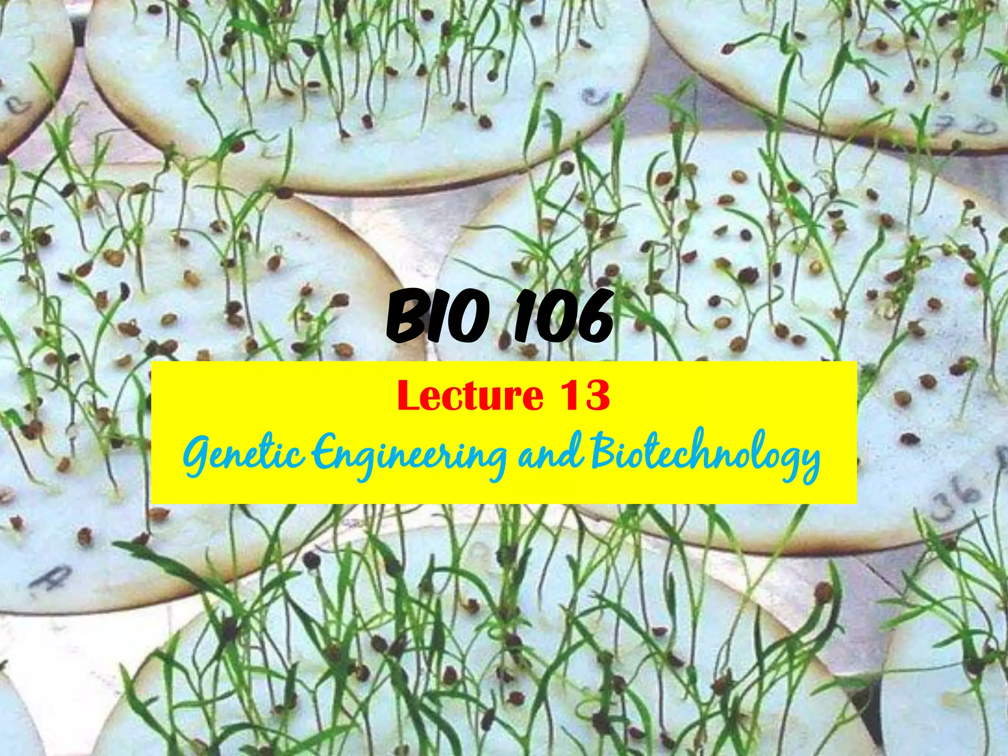 Genetic Engineering and Biotechnology | PDF