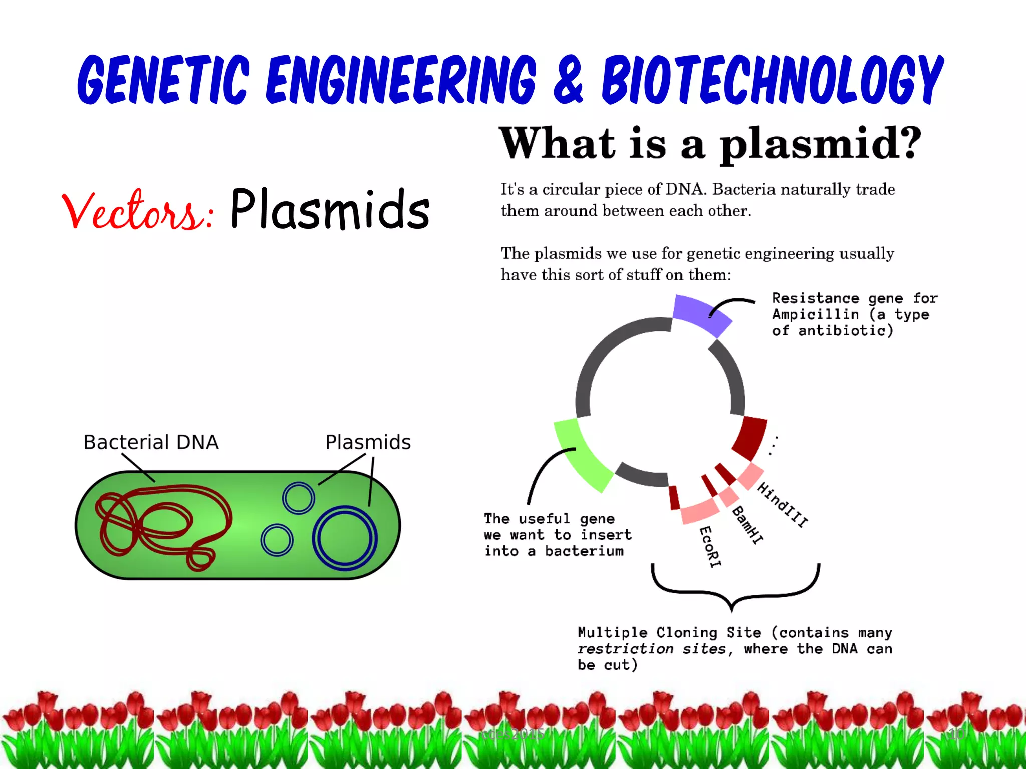 Genetic Engineering and Biotechnology | PDF