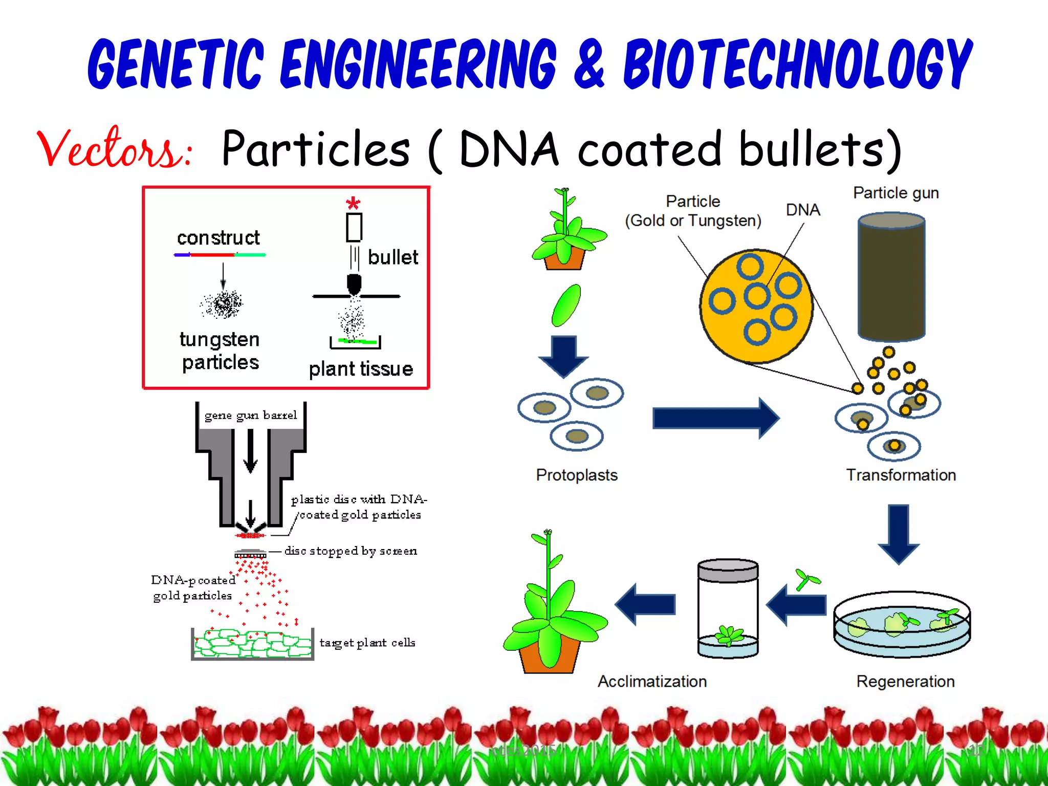 Genetic Engineering and Biotechnology | PDF